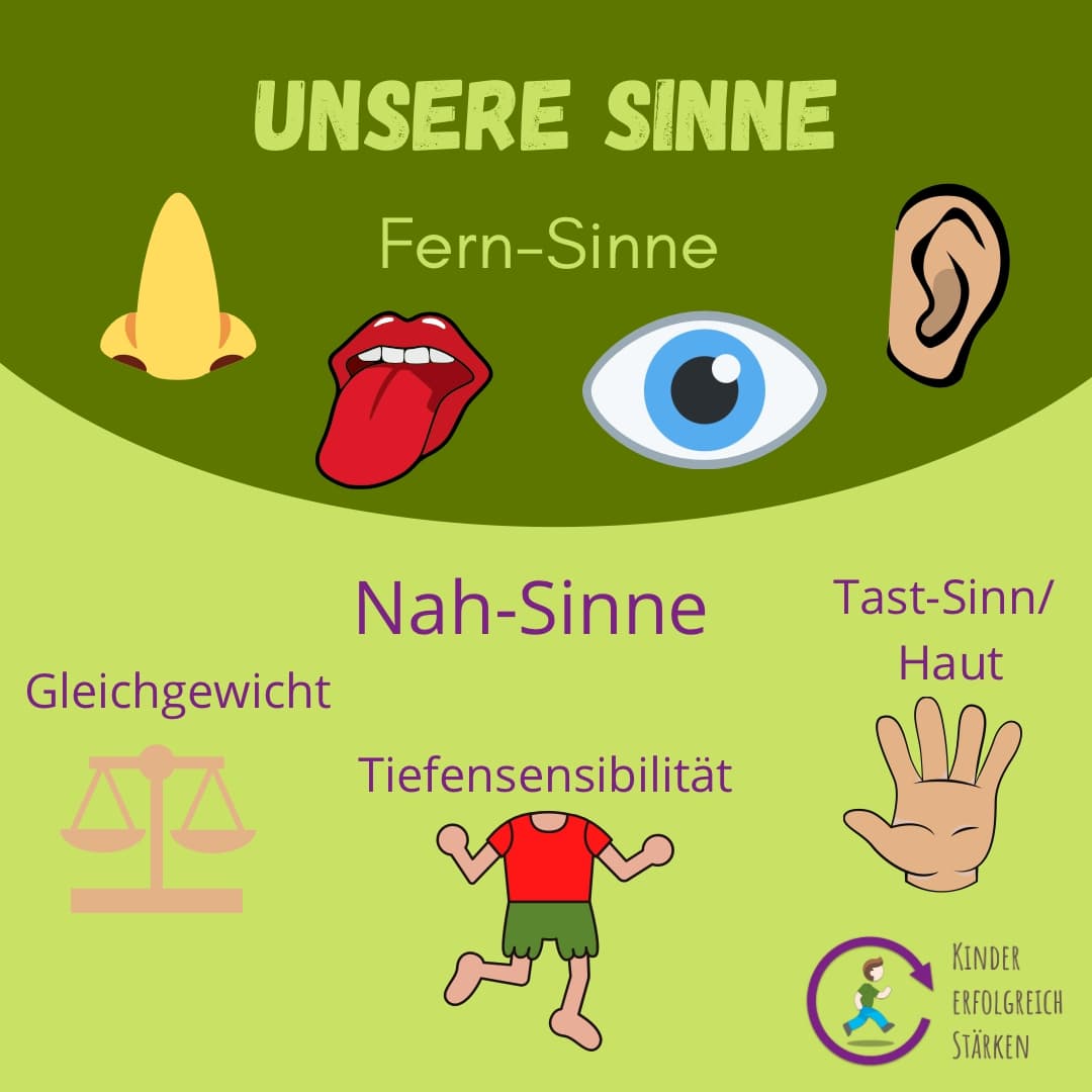 Unsere Sinne - Kinder Erfolgreich Stärken